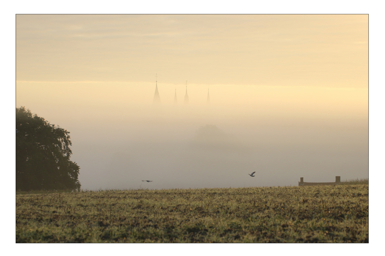 Nebel Foto & Bild | jahreszeiten, herbst, gemäuer Bilder auf fotocommunity