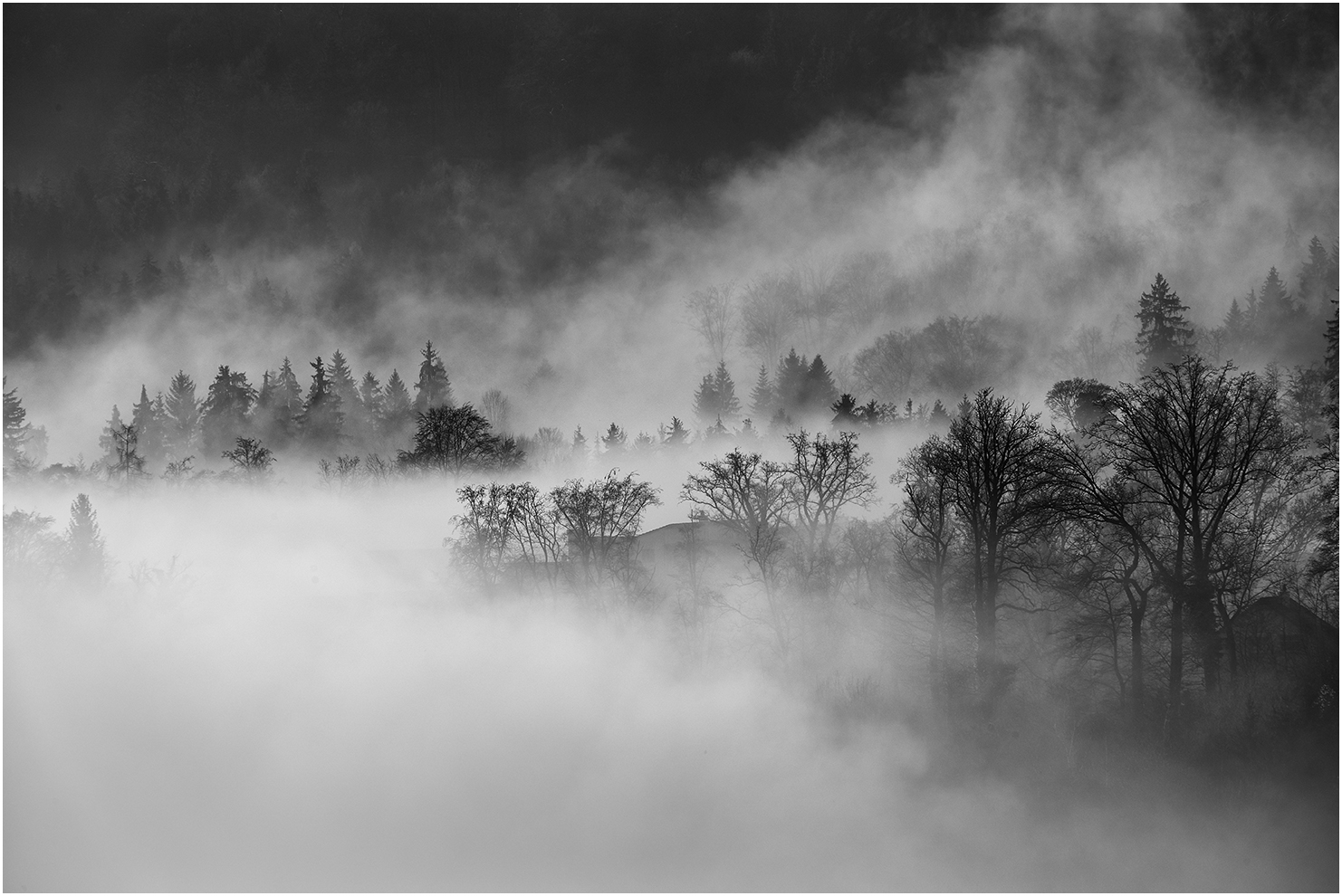 Nebel gibt nach Foto & Bild | winter, natur, nebel Bilder auf fotocommunity