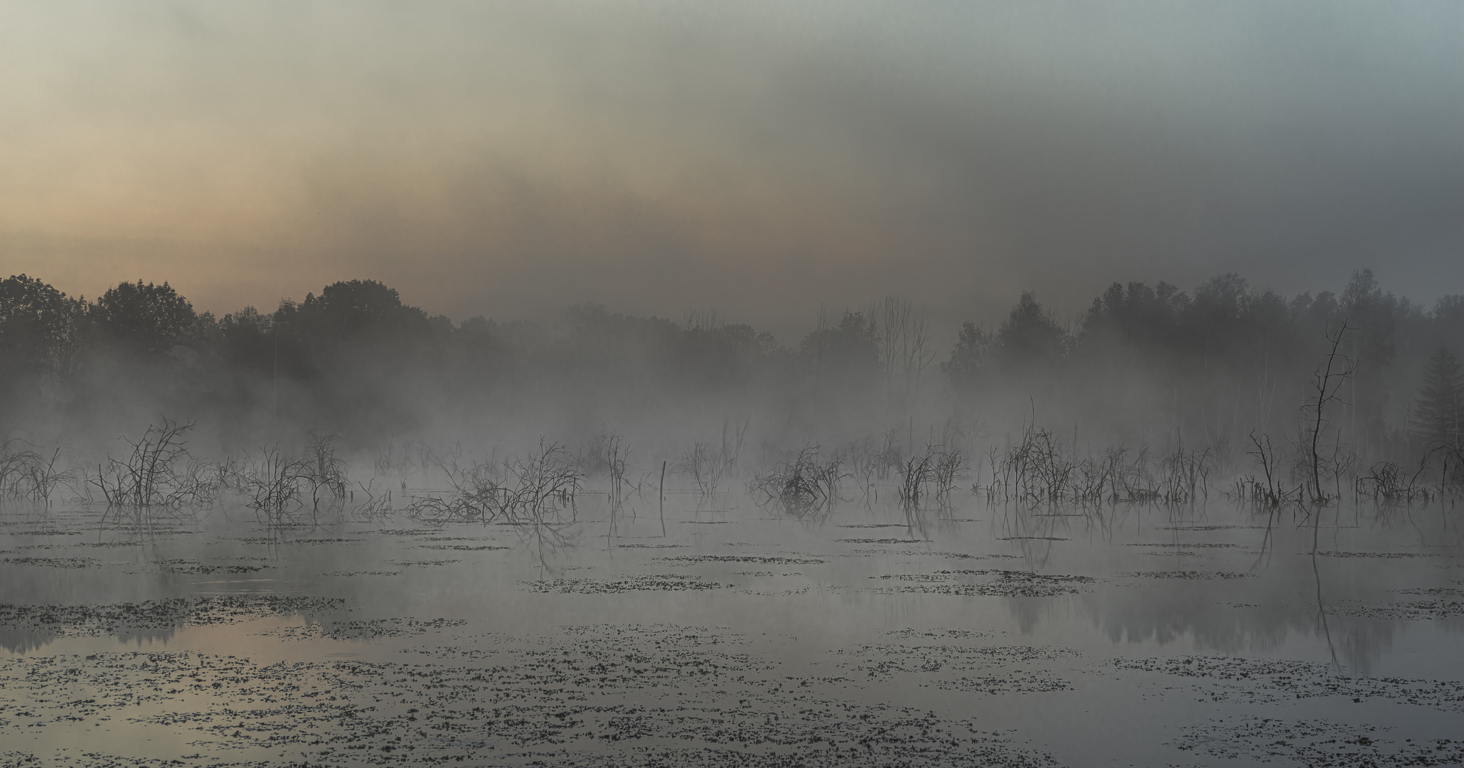 Nebel im Moor (3) Foto & Bild | landschaft, fotokunst, bach, fluss & see Bilder auf fotocommunity