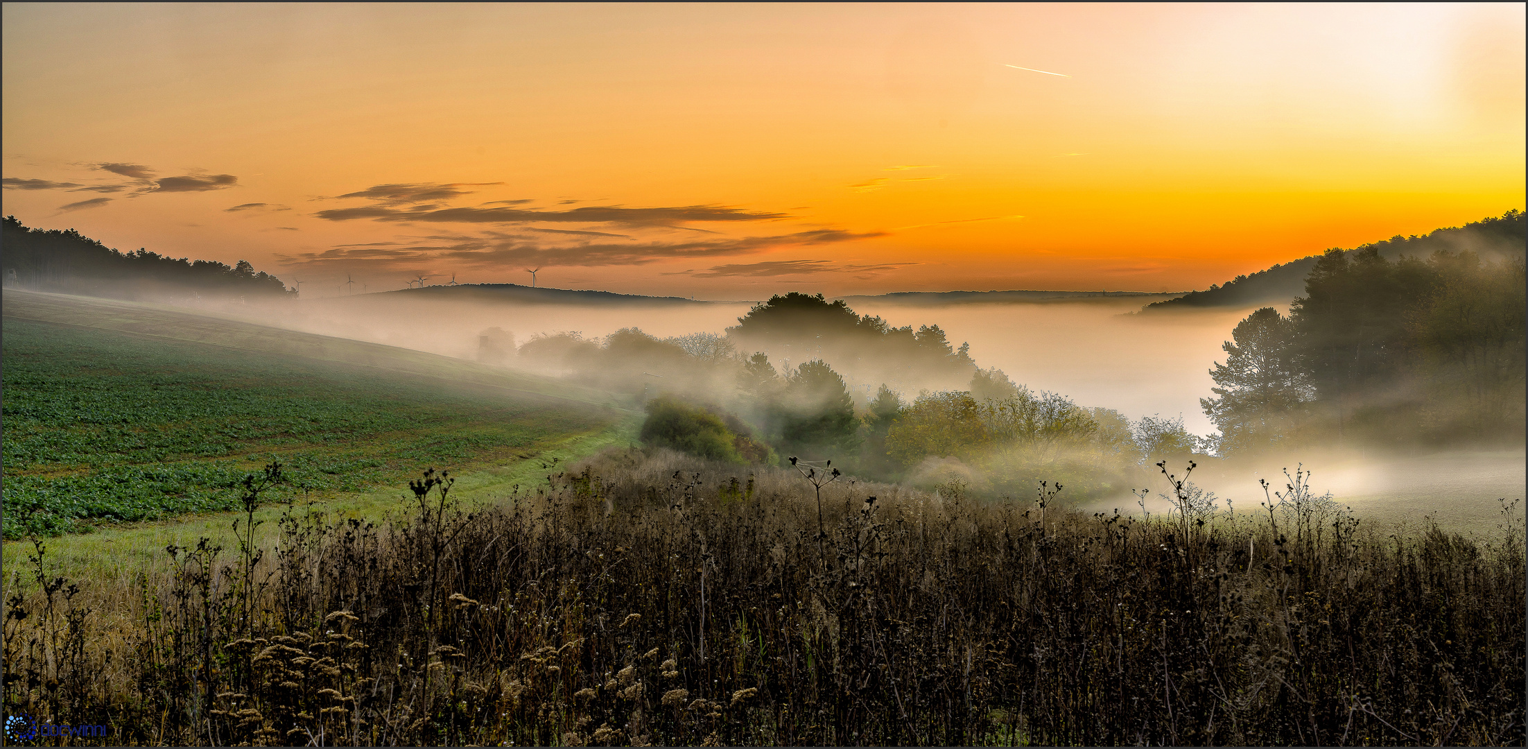 Nebel im Tal Foto & Bild | wald, sonnenaufgang, morgenstimmung Bilder ...