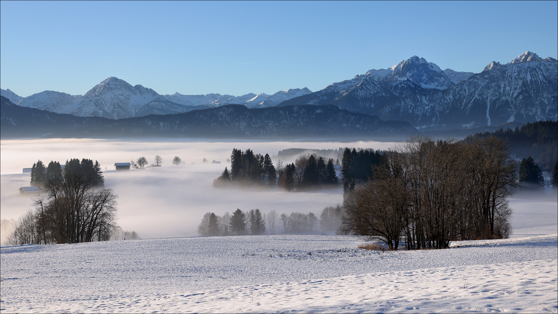 Nebel im Tal Foto & Bild | winter, natur, landschaft Bilder auf ...