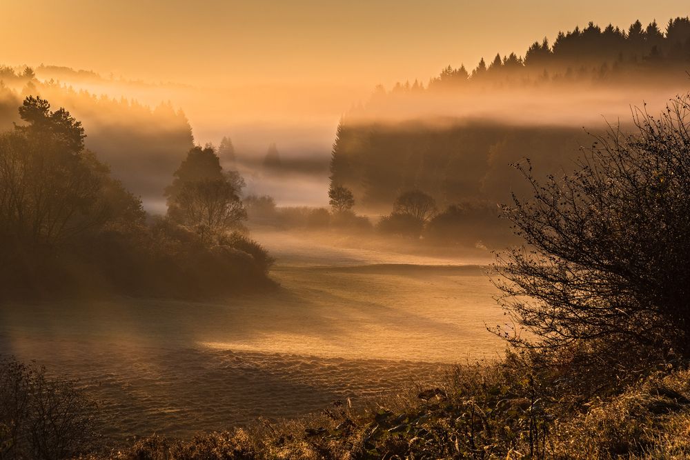 Nebel im Tal Foto & Bild | landschaft, sonnenaufgang, natur Bilder auf fotocommunity