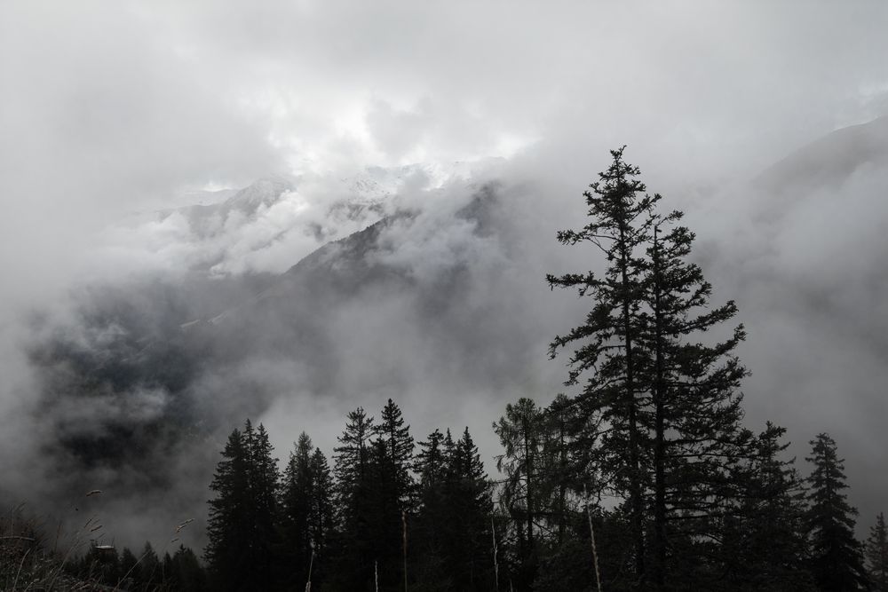 Nebel im Virgental Foto & Bild | europe, Österreich, landschaft Bilder auf fotocommunity