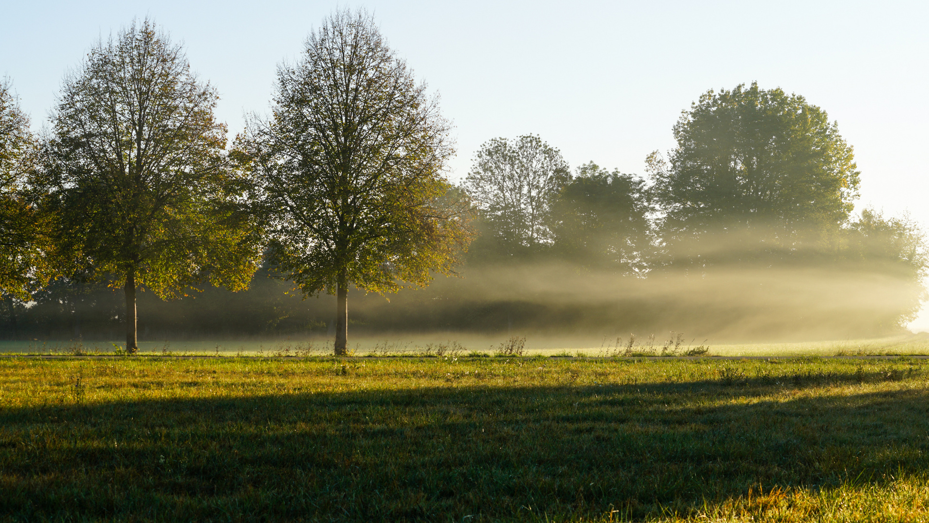 nebelig Foto & Bild | landschaft, jahreszeiten, herbst Bilder auf ...