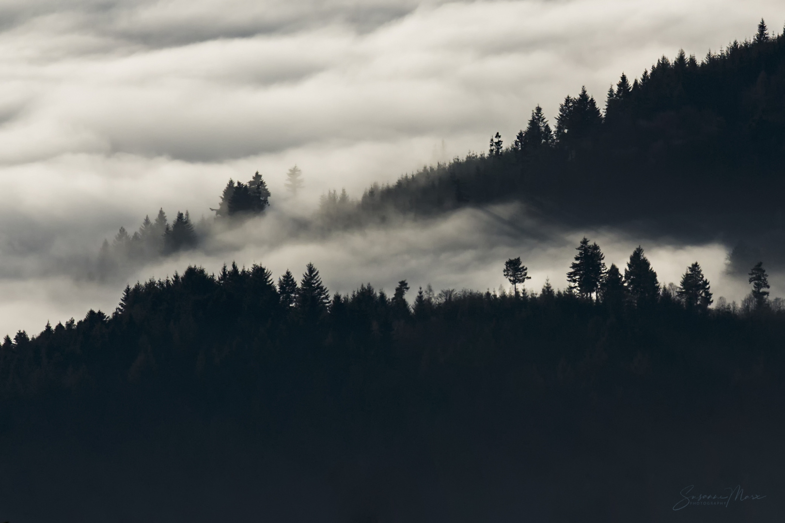 nebelig & düster Foto & Bild | landschaft, jahreszeiten, winter Bilder ...