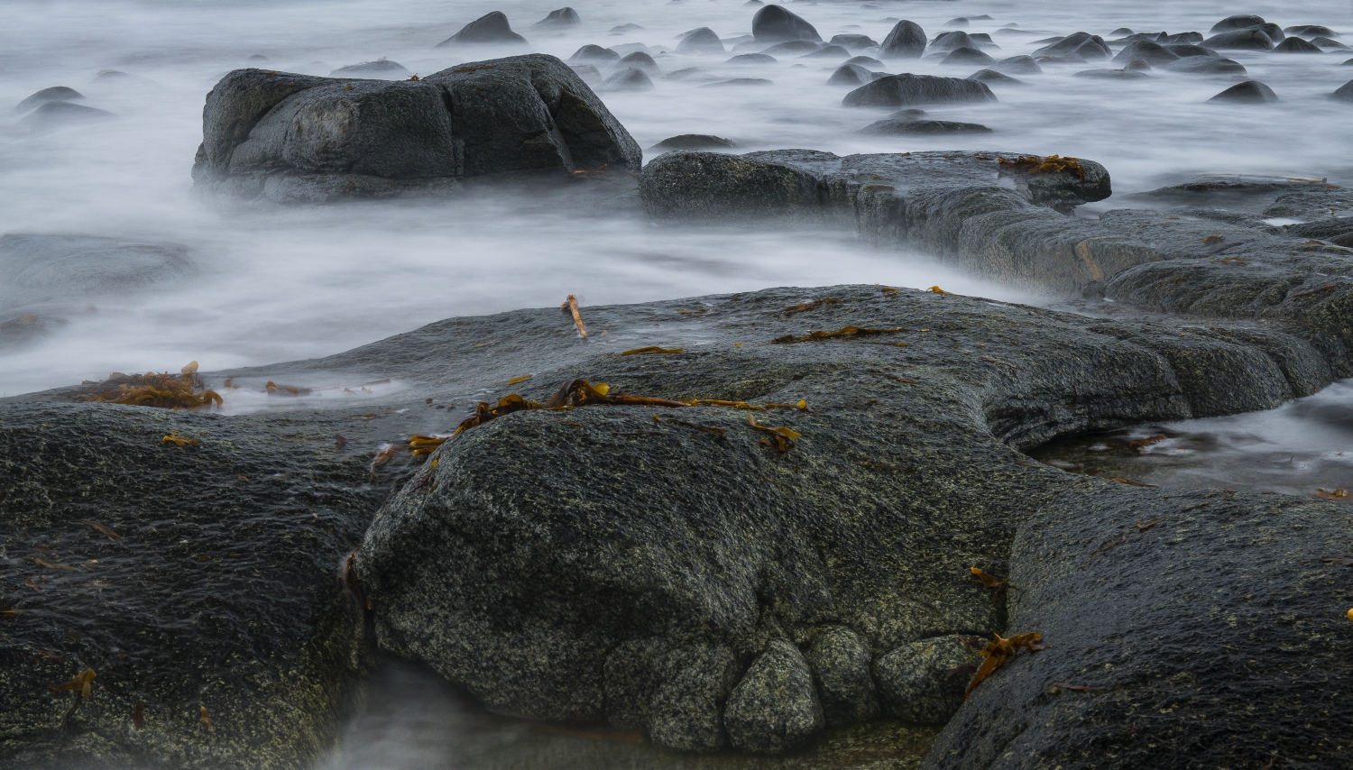 nebelig Foto & Bild | world, wasser, winter Bilder auf fotocommunity