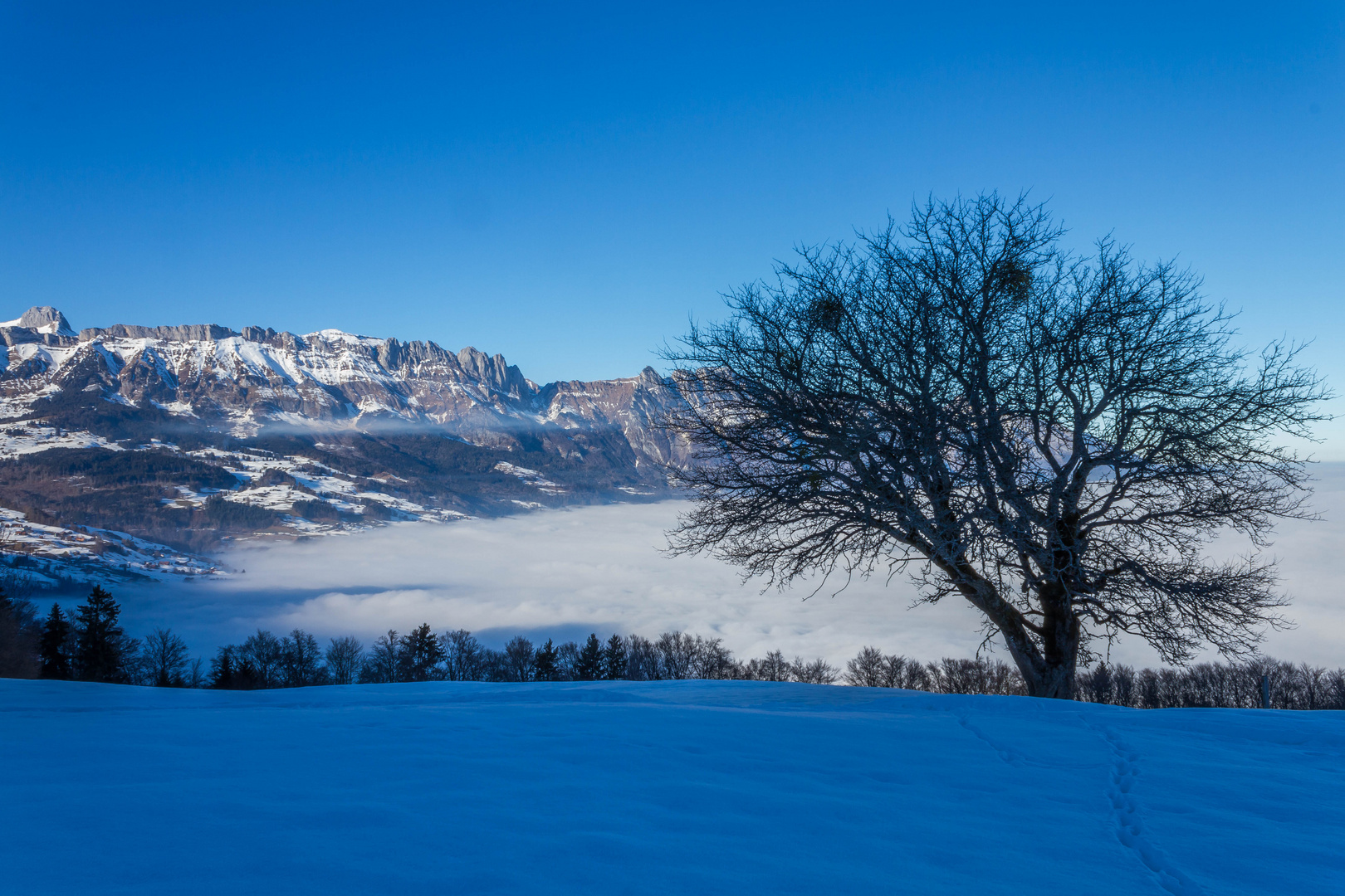 Nebelmeer Foto & Bild | jahreszeiten, winter, schnee Bilder auf fotocommunity