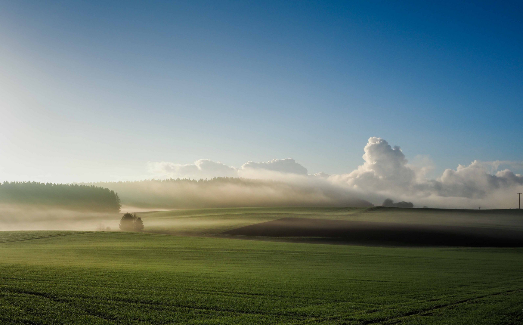 Nebelschwaden Foto & Bild | landschaft, Äcker, felder & wiesen ...