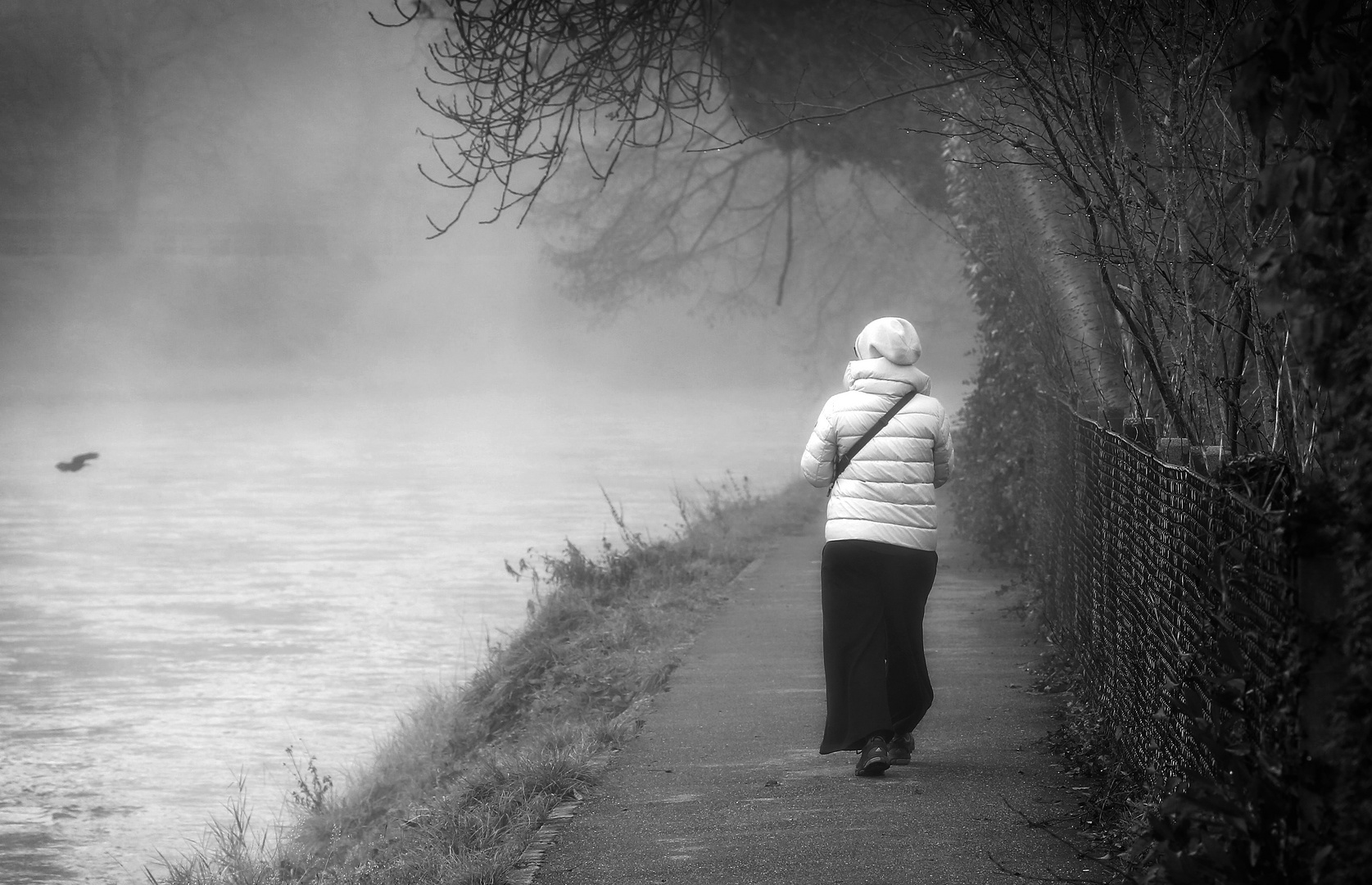 Nebelstimmung Foto & Bild | landschaft, streetfotografie mit menschen ...