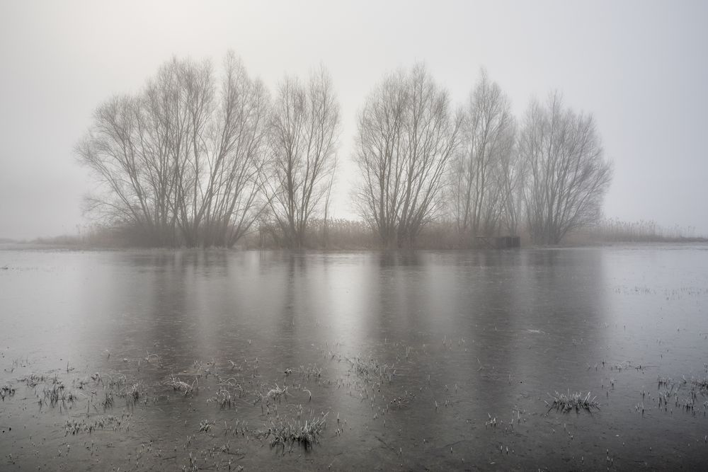 Nebelstimmungen Foto & Bild | landschaft, jahreszeiten, winter Bilder auf fotocommunity