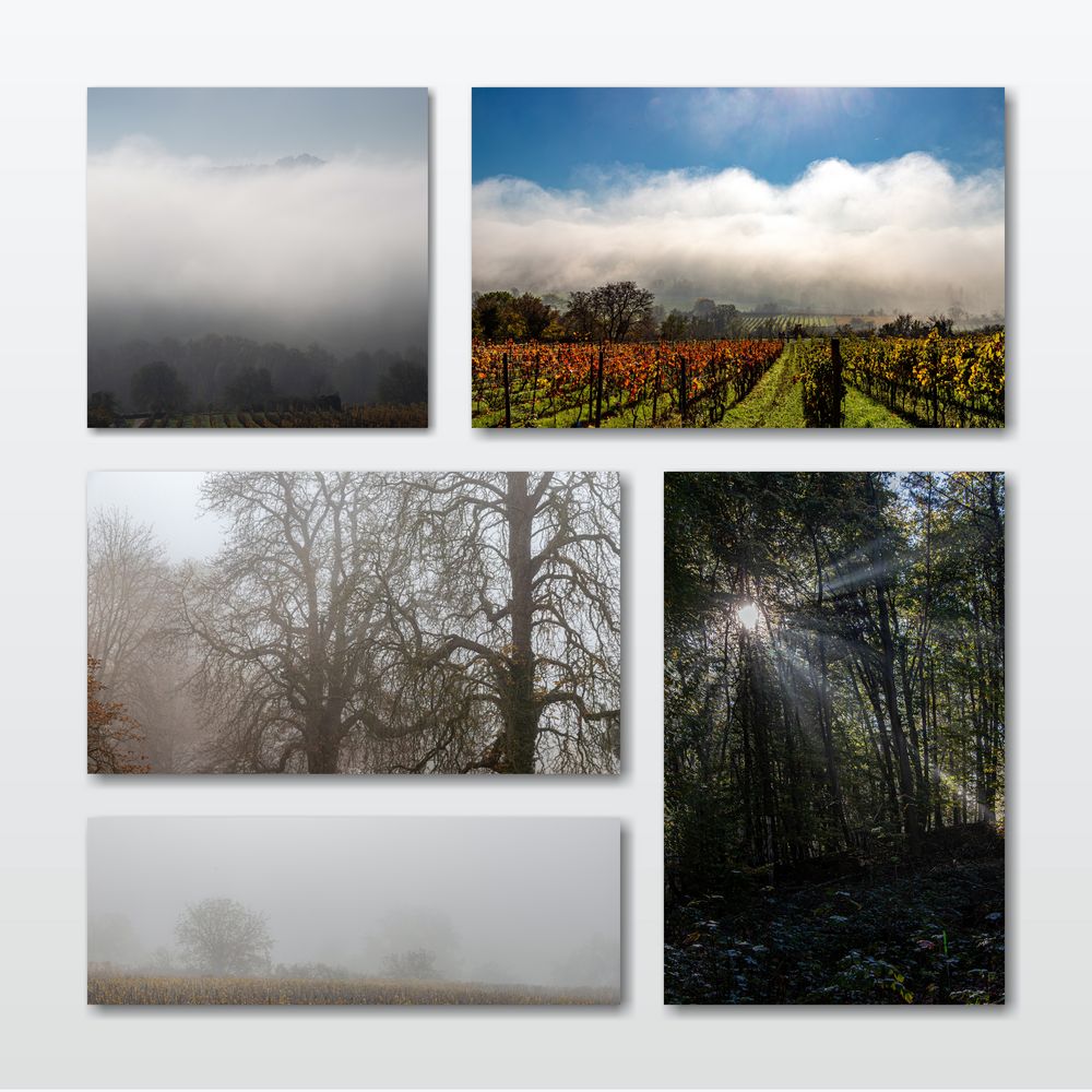 Nebeltage Foto & Bild | jahreszeiten, herbst, fotokunst Bilder auf fotocommunity