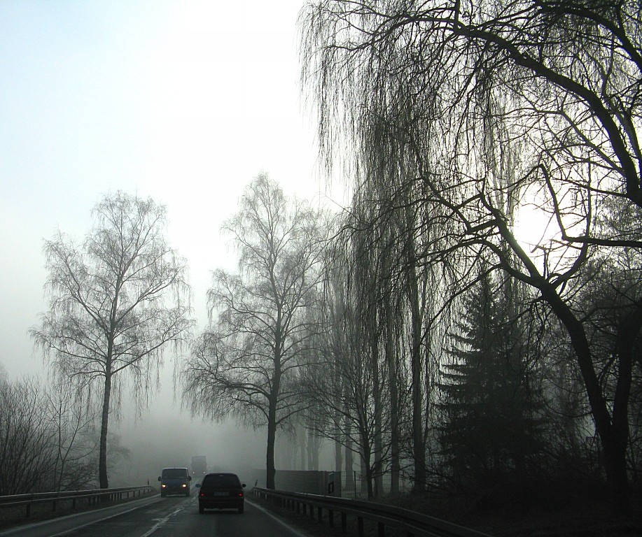 Nebeltage im November - Fog day in November Foto & Bild | jahreszeiten ...