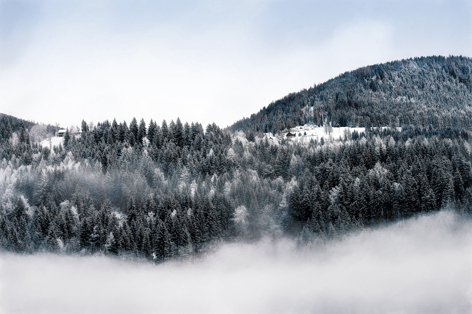 Nebelwald Foto & Bild | landschaft, jahreszeiten, winter Bilder auf ...