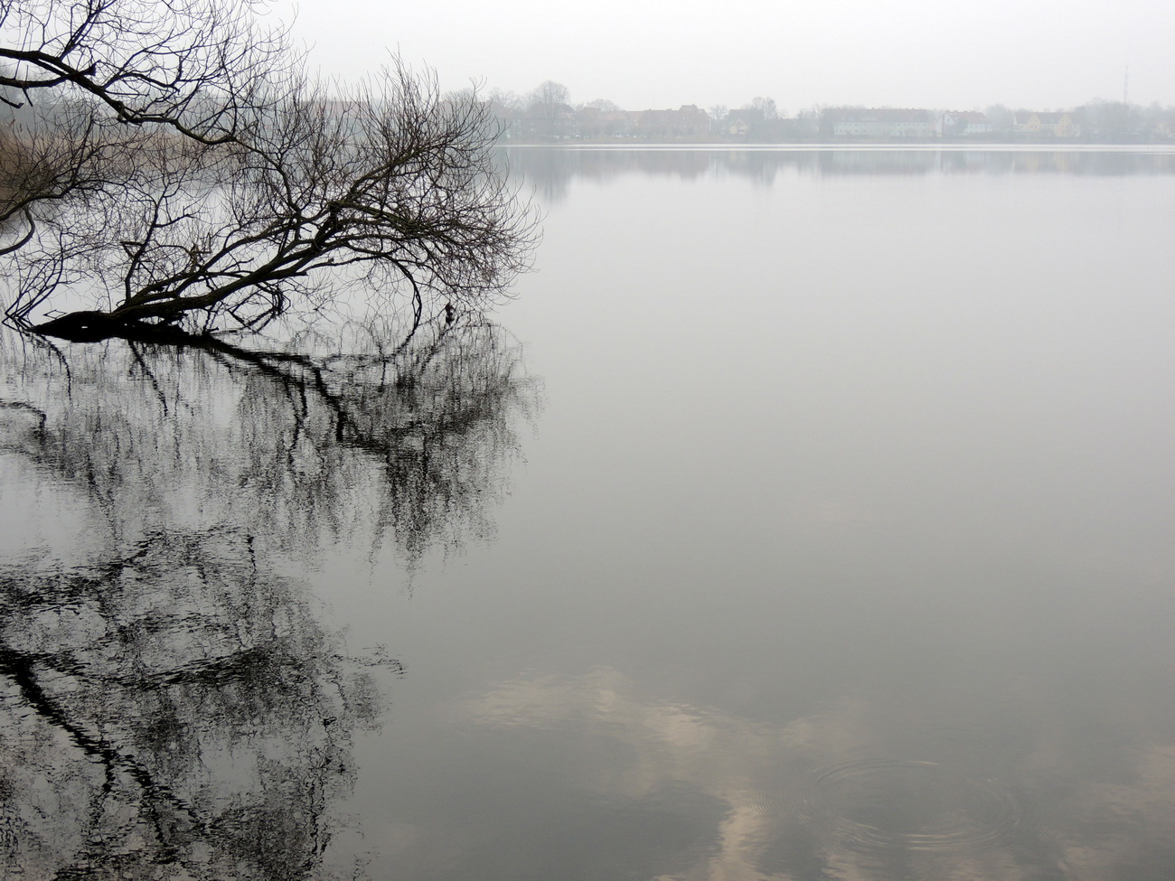Neblig Foto & Bild | landschaft, jahreszeiten, wasser Bilder auf ...