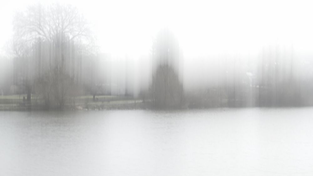 "Neblig ist`s dieser Tage" Foto & Bild | landschaft, jahreszeiten ...