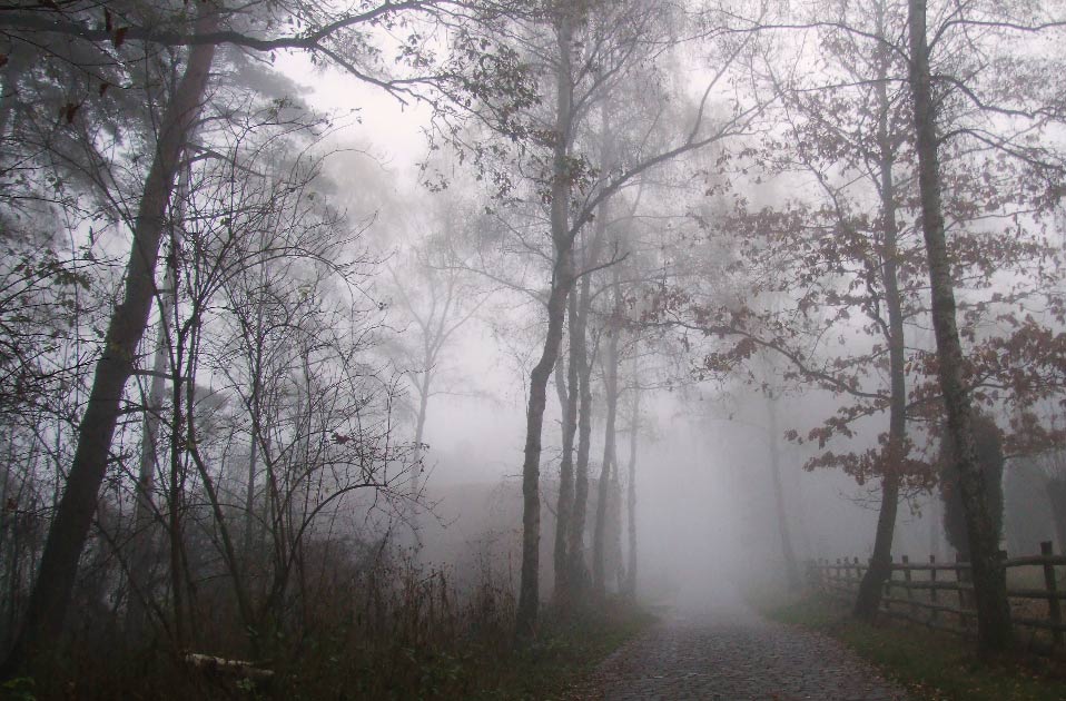 Neblig trüb gefällt mir gut... Foto & Bild | nebelstimmungen, wetter ...