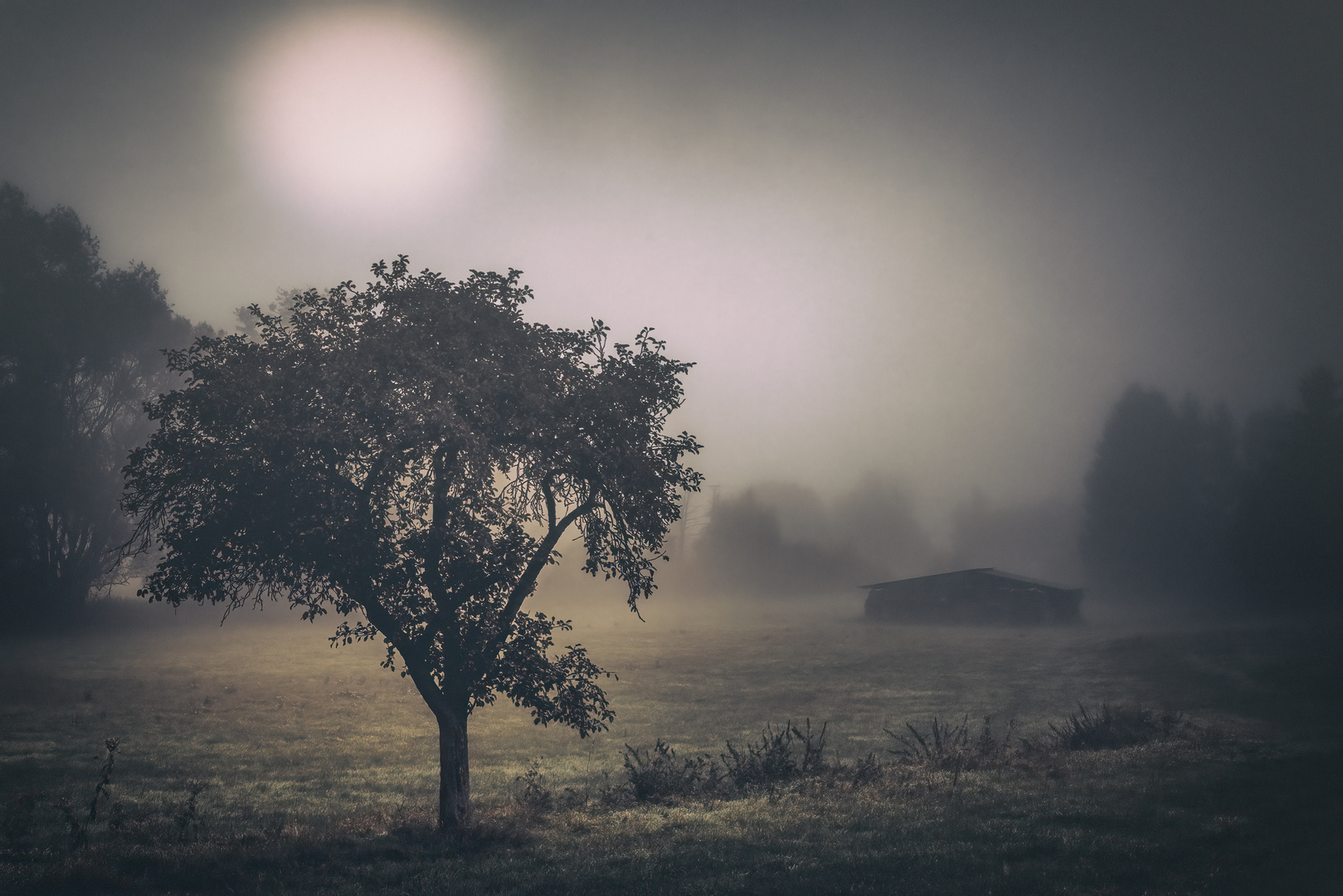 Neblige Nacht Foto & Bild | landschaft, jahreszeiten, herbst Bilder auf fotocommunity