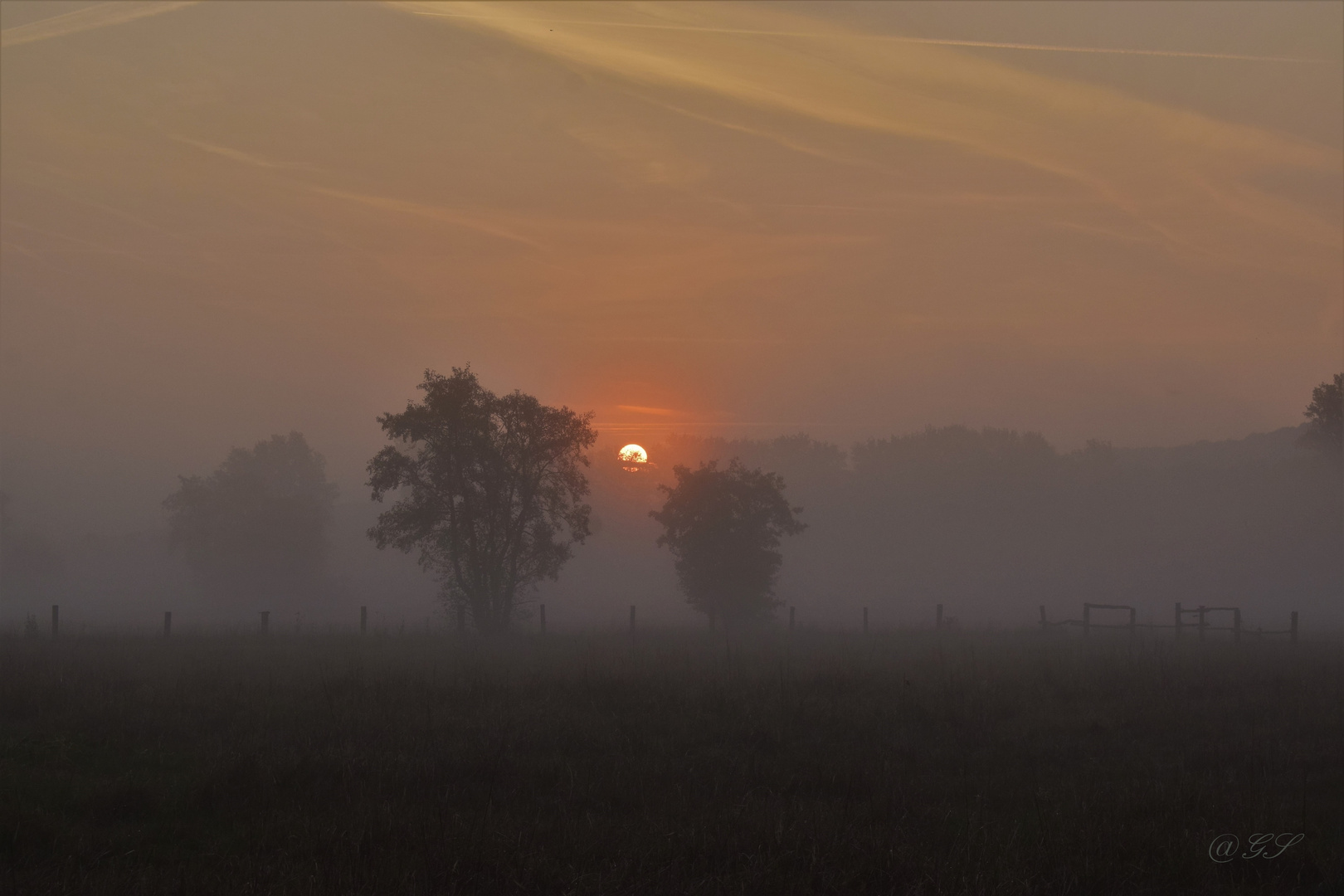 Nebliger Morgen 2 Foto & Bild | landschaft, lebensräume, natur Bilder ...