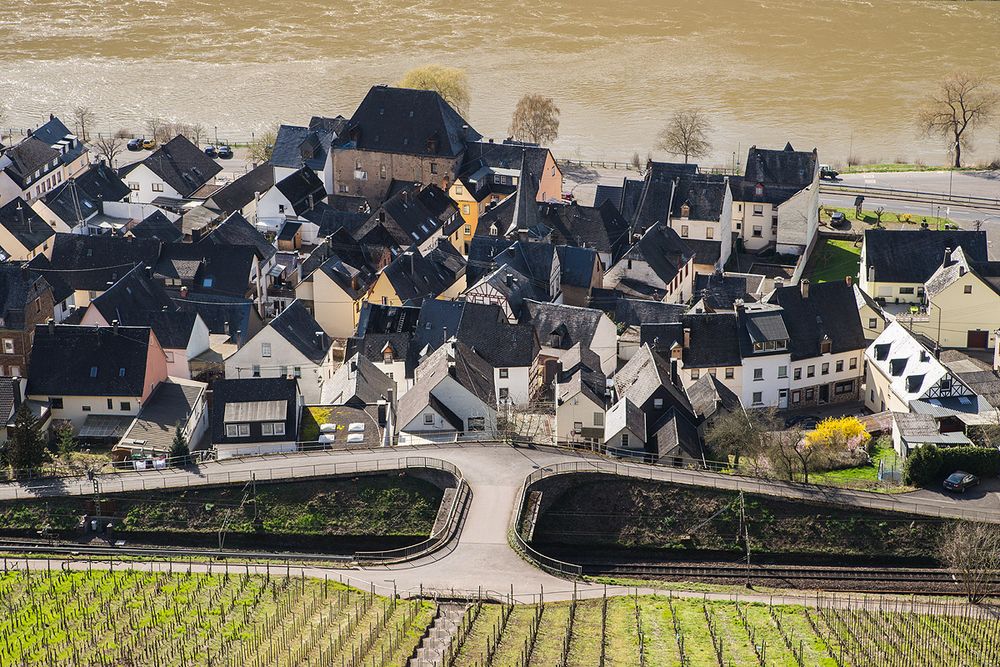 "Neef an der Mosel" Foto & Bild | deutschland, europe, rheinland-pfalz ...