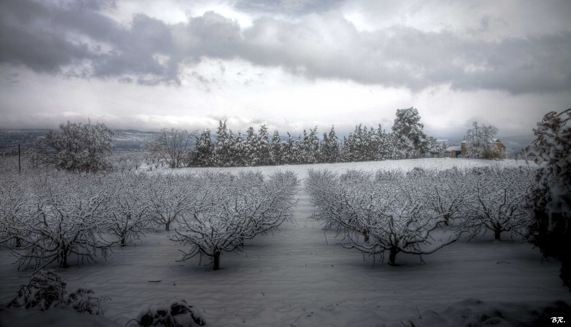 neige en Provence (2) photo et image | les saisons, hiver, paysages ...