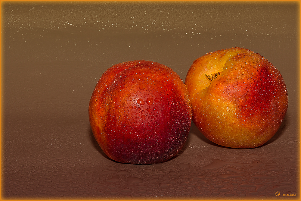 Nektarinen Foto & Bild | stillleben, tabletop, früchte Bilder auf ...