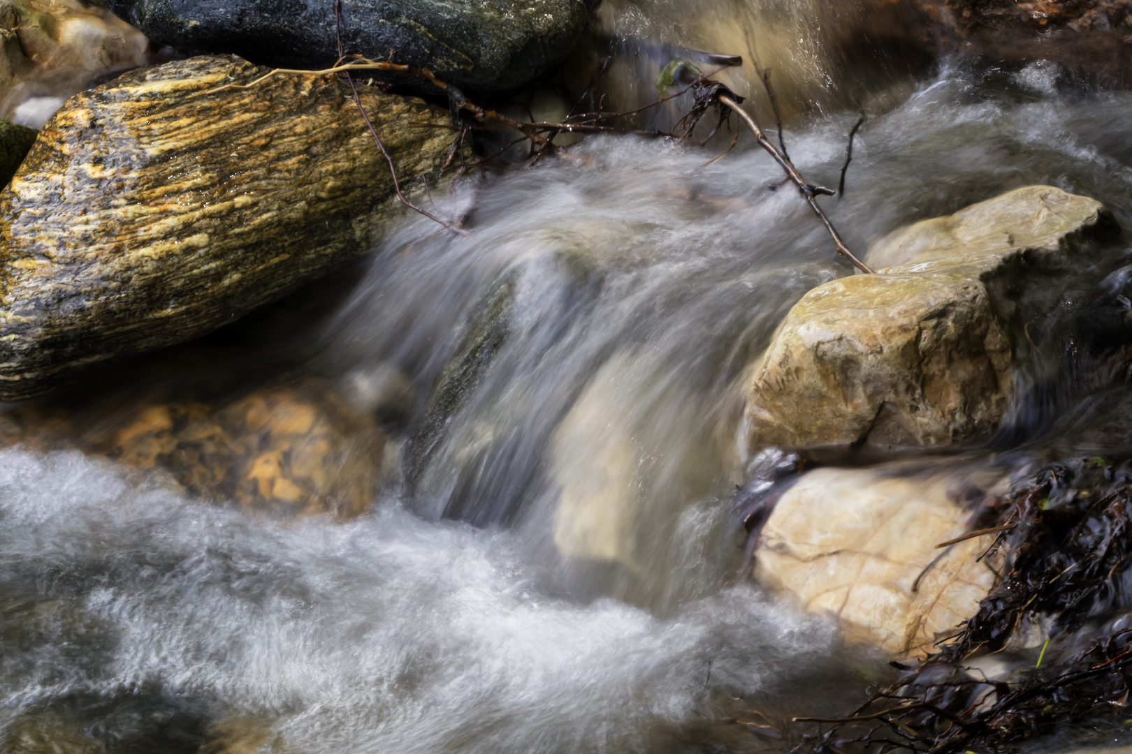 Nel fiume Foto % Immagini| paesaggi, macro e close up, laghi e fiumi ...