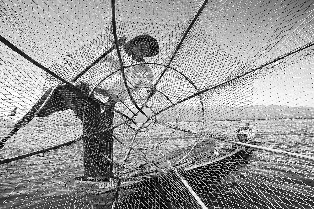 NELLA RETE ... Foto % Immagini| fotos, canon, people Foto su fotocommunity