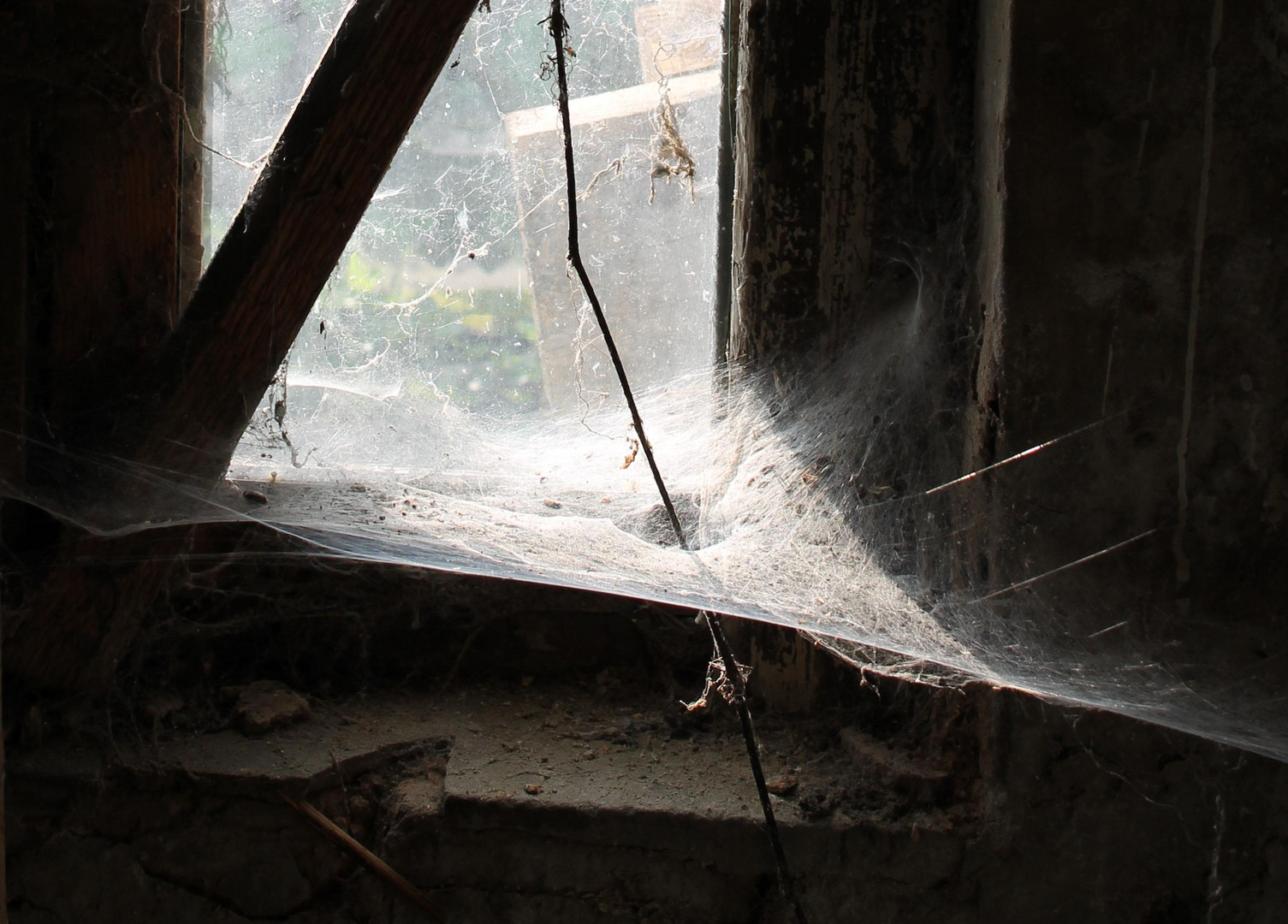 Netz einer Winkelspinne Foto & Bild | tiere, wildlife, spinnen Bilder ...