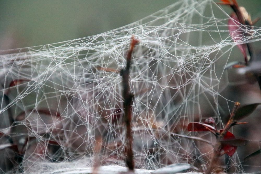 Netz rundrum Foto & Bild | emotionen, entsetzen und entrüstung, fotos ...