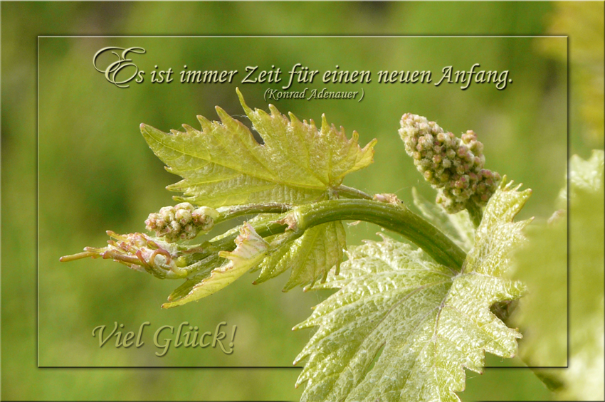 Neuanfang Foto & Bild | karten und kalender, spruchkarten, Bilder auf ...