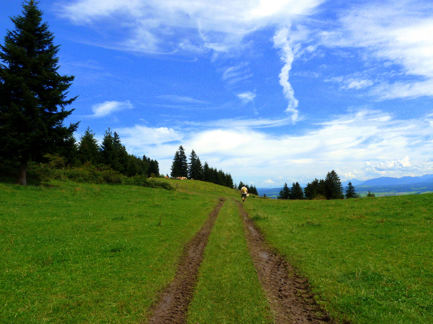 Neue Wege gehen Foto & Bild | landschaft, wege und pfade, landschaften ...
