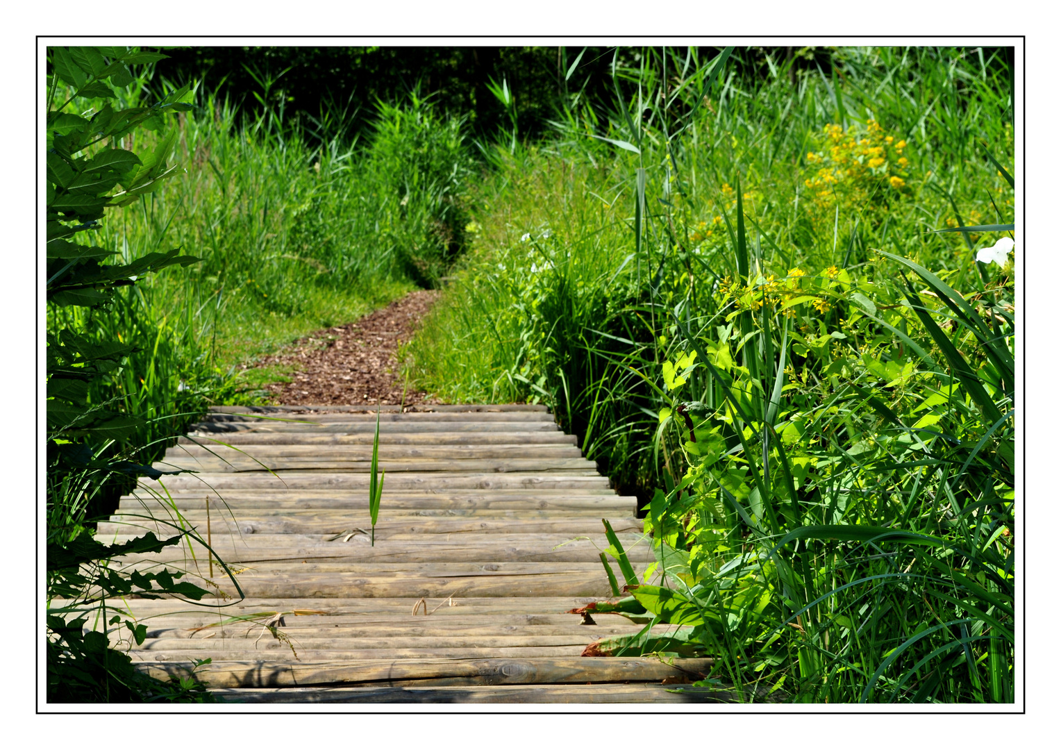 Neue Wege gehen Foto & Bild | landschaft, wege und pfade, hamm ...