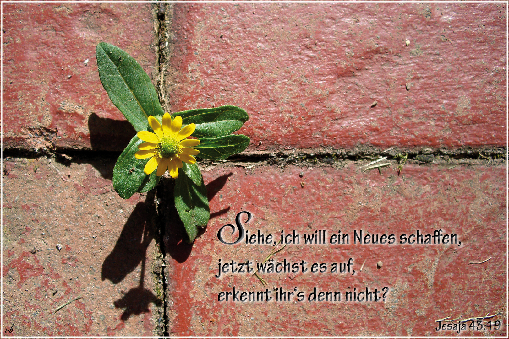 Neues schaffen....Jesaja 43,19 Foto & Bild | karten und kalender, bibel ...