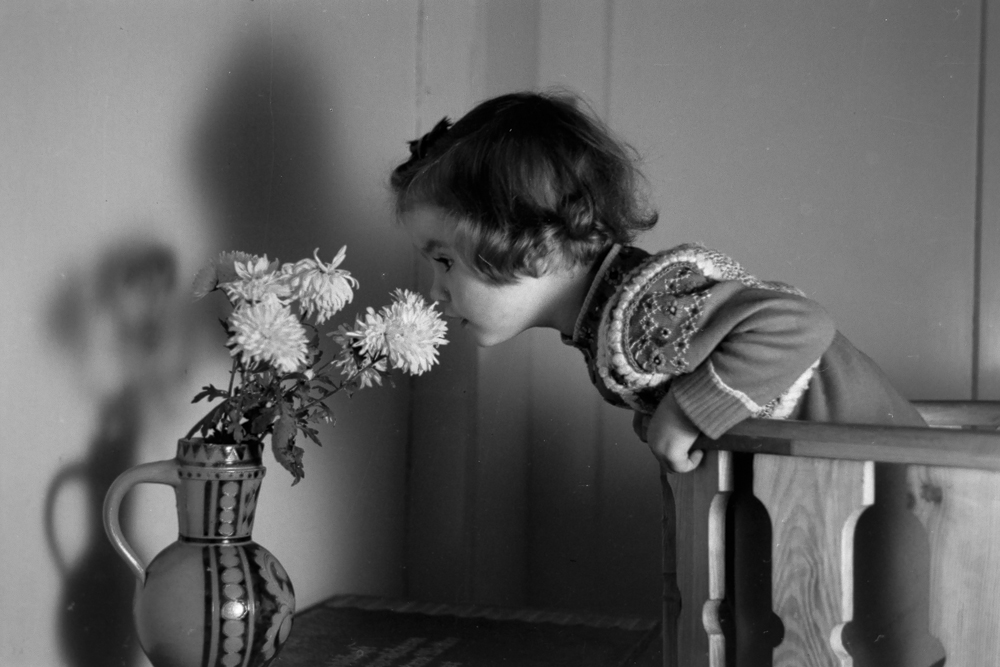 Neugier Foto & Bild | veröffentlicht, menschen, kinder Bilder auf ...