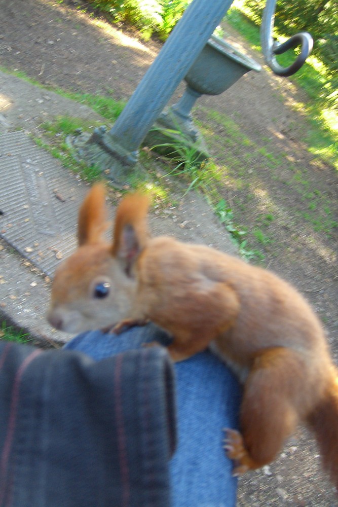 Neugier Foto & Bild | tiere, tier und mensch, bis 2012 Bilder auf ...