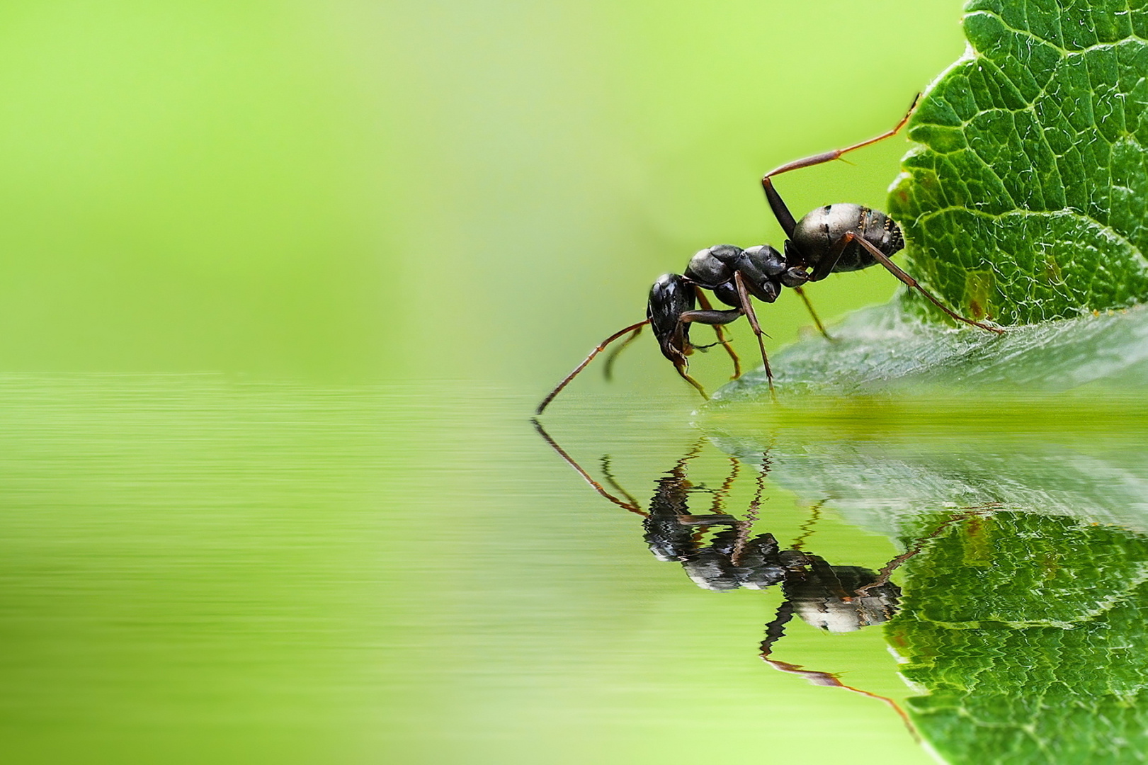 Neugier Foto & Bild | fotos, nature, natur Bilder auf fotocommunity