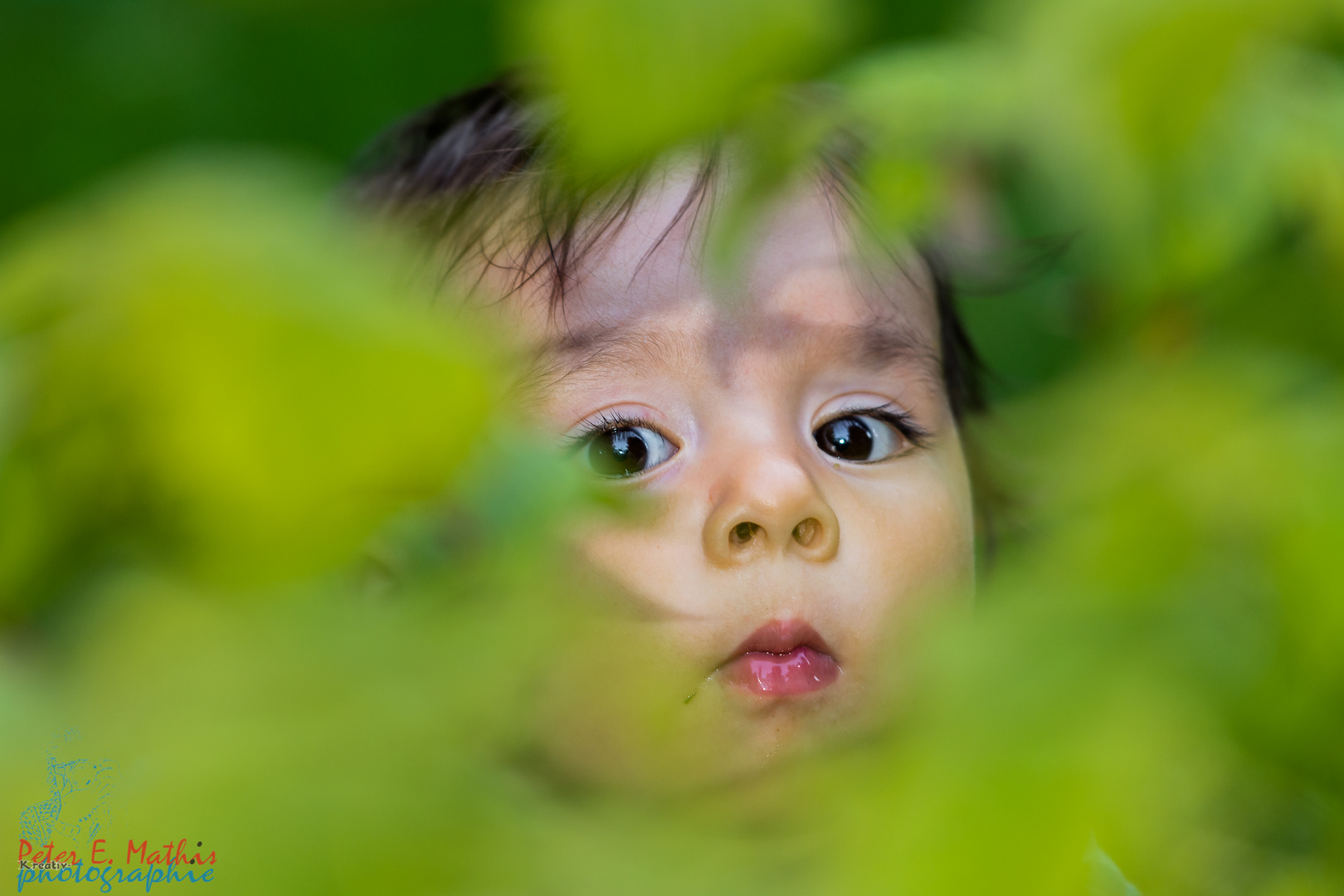 Neugier Foto & Bild | outdoor, portrait, gesicht Bilder auf fotocommunity