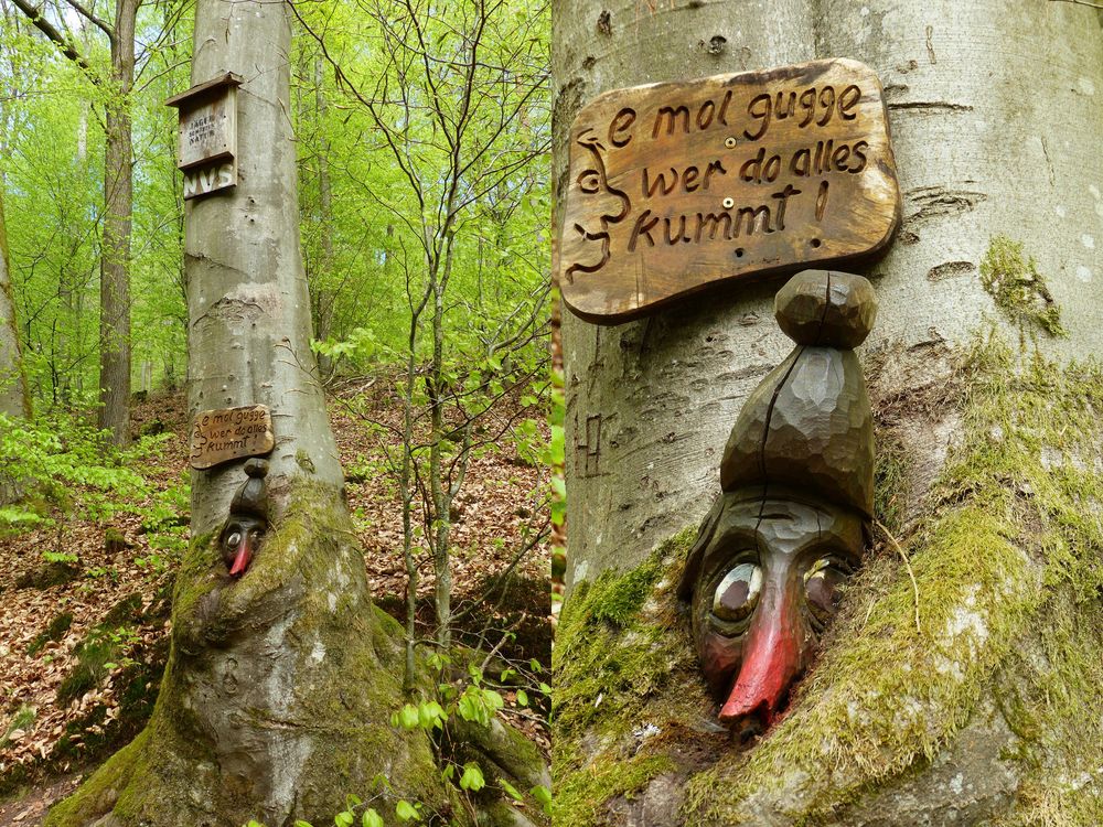 Neugierig !? Foto & Bild | deutschland, europe, rheinland-pfalz Bilder ...