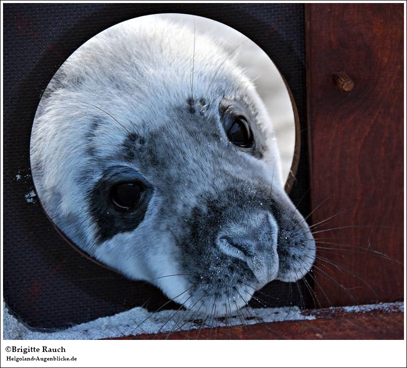 Neugierig Foto & Bild | world, spezial, natur Bilder auf fotocommunity