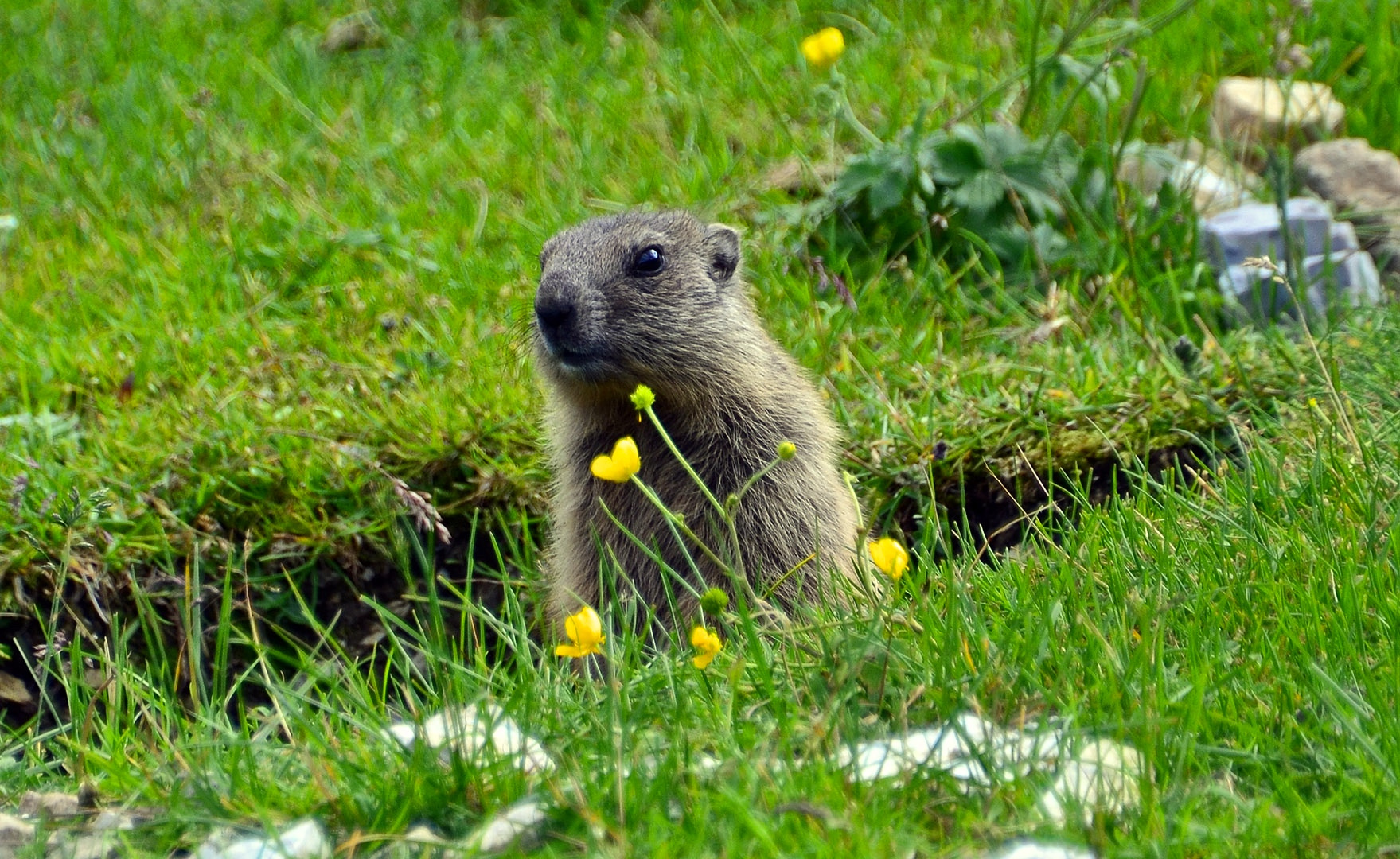 Neugierig Foto & Bild | fotos, world, spezial Bilder auf fotocommunity