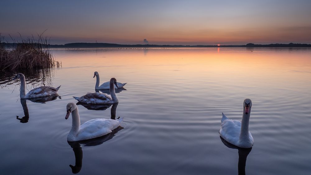 Neugierig Foto & Bild | deutschland, europe, brandenburg Bilder auf ...