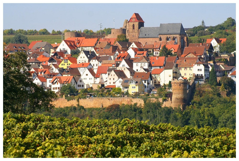 Neuleiningen Foto & Bild | deutschland, europe, rheinland-pfalz Bilder ...
