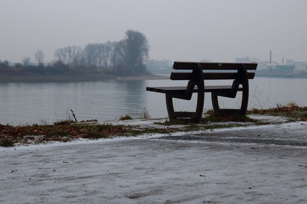 Gernsheim am Rhein Bilder & Fotos