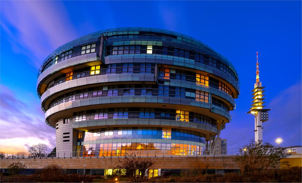 Neuroscience Institute Hannover (INI) Foto & Bild | world ...