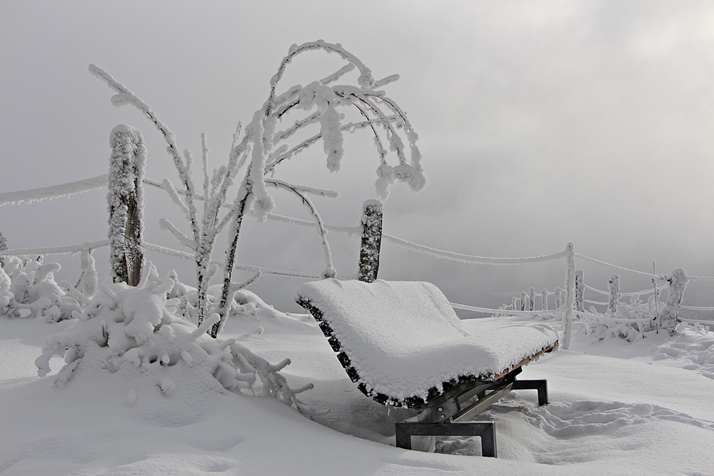 Neuschnee Foto & Bild | landschaft, jahreszeiten, winter Bilder auf fotocommunity