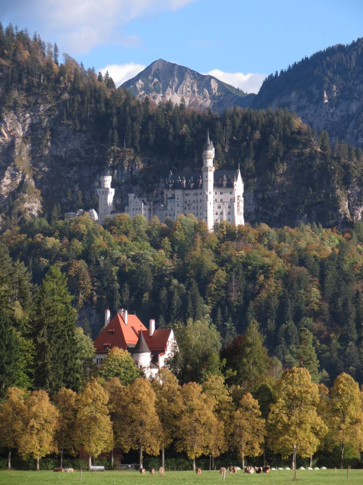 Neuschwanstein Foto & Bild | deutschland, europe, bayern Bilder auf fotocommunity