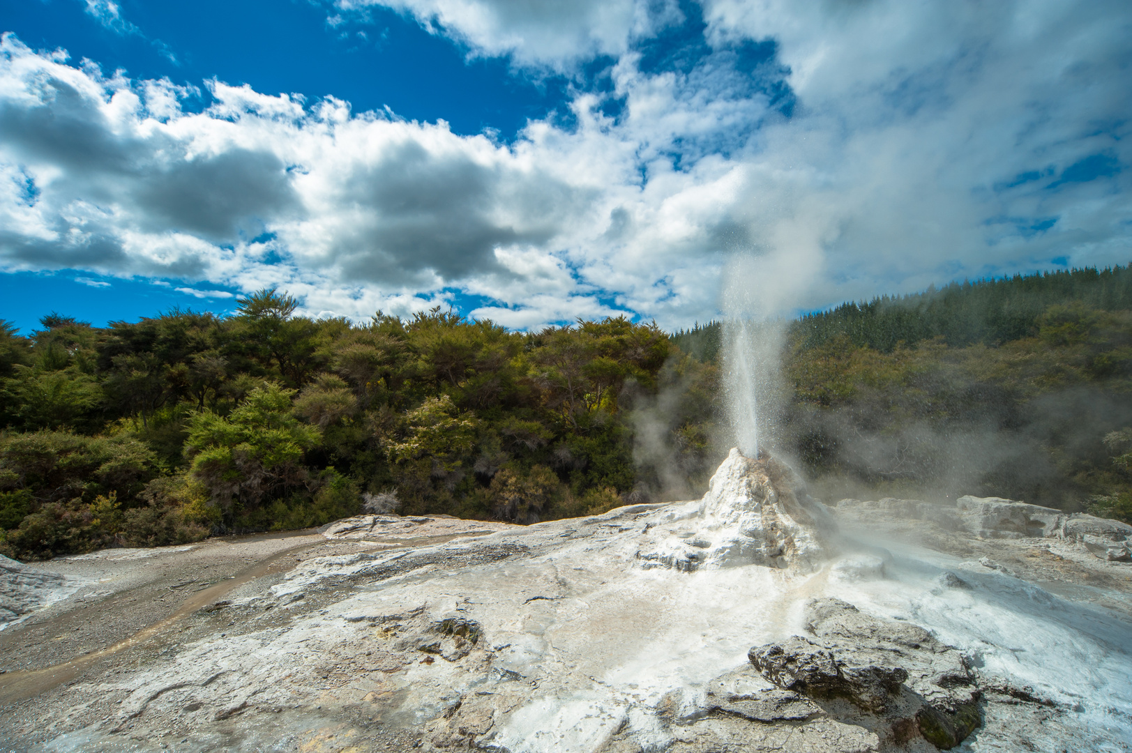 Neuseeland: Wai-O-Tapu Lady Knox Geyser Foto & Bild | new, wasser ...