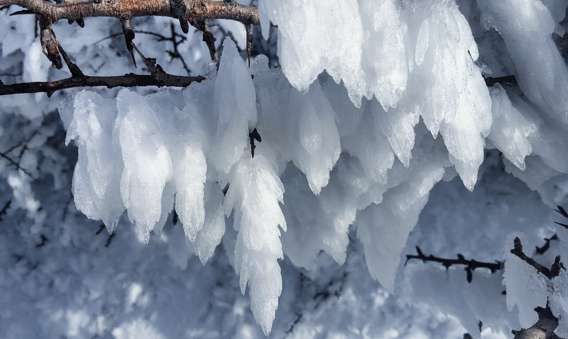 Neve Foto % Immagini| nature, natur, neve Foto su fotocommunity