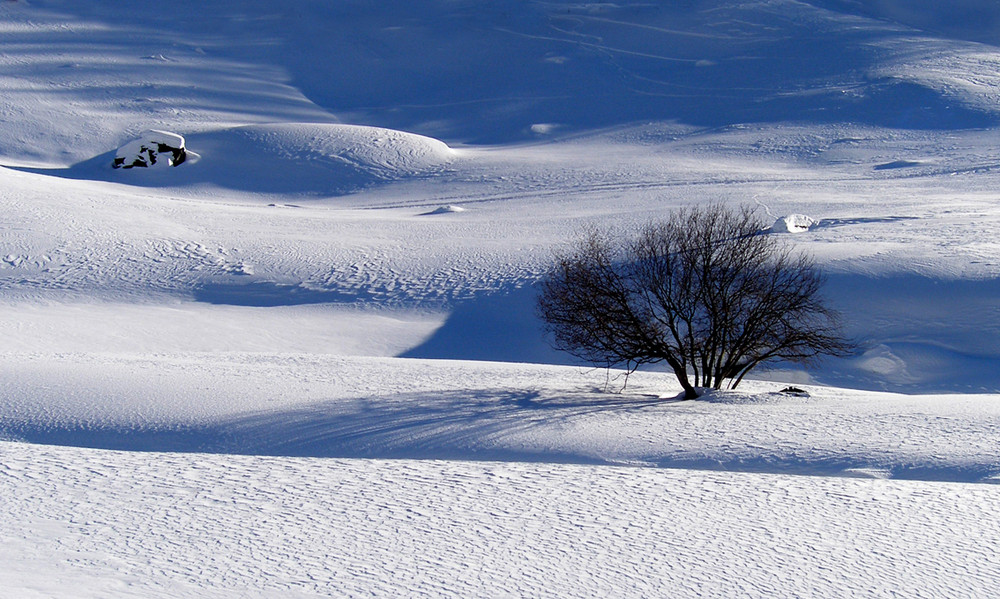 Neve a Casere di Predoi(BZ) Foto % Immagini| paesaggi, montagna, natura ...