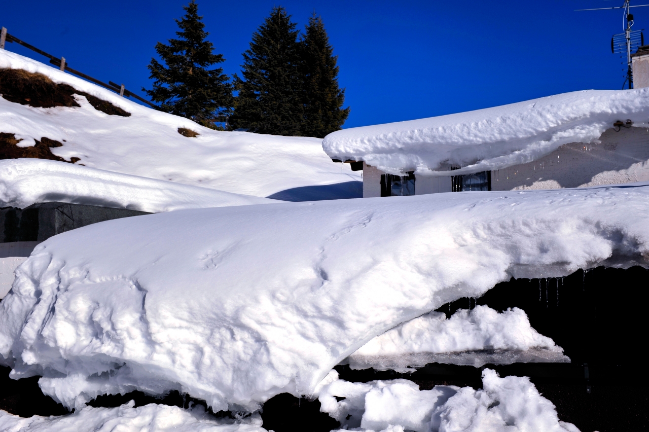 Neve ad alta quota Foto % Immagini| paesaggi, montagna, dolomiti Foto ... Neve ad alta quota Foto % Immagini| paesaggi, montagna, dolomiti Foto ...
